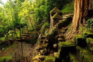 Top 10 | Nos Insolites à Bali [Actualisé 2022]